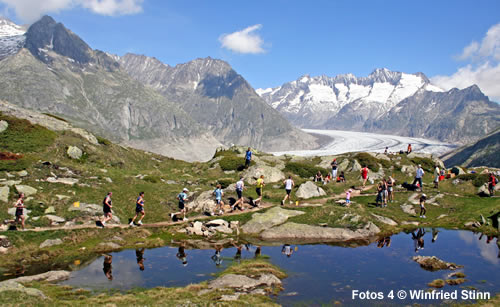 LaufReport Aletsch Halbmarathon